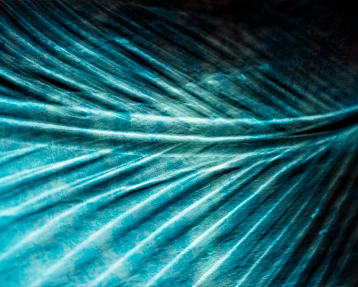 OFFERS - Albion Capital