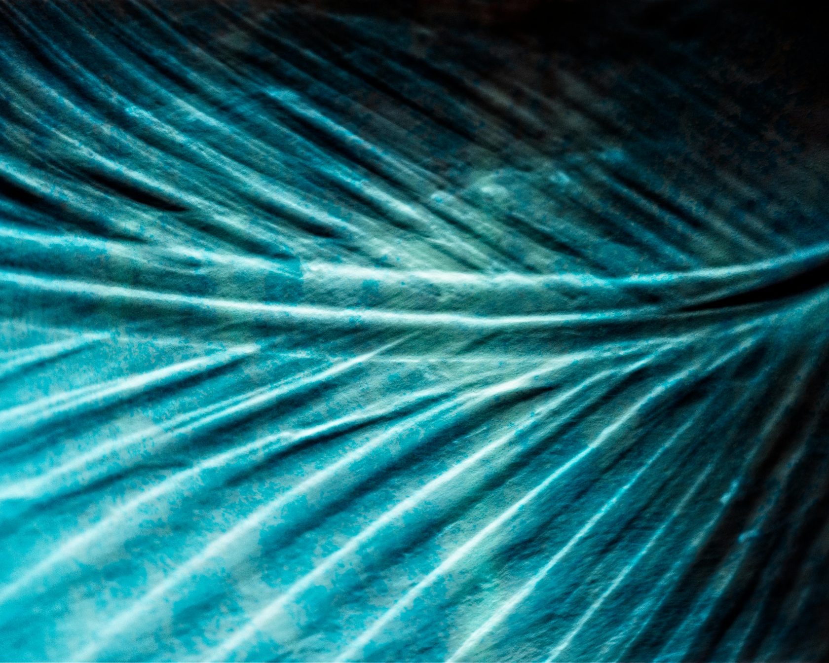 OFFERS - Albion Capital